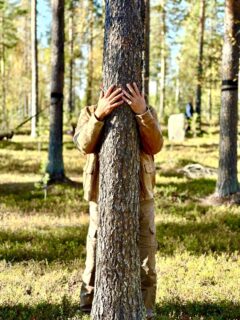 Kittilä. Outdoor in Lappland. Die 8 besten Reise-Tipps